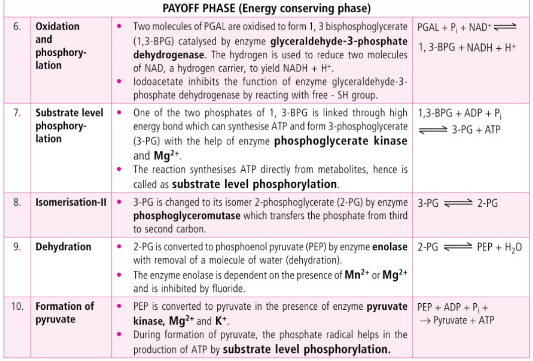 Respiration in Plant Class XI: Flow charts, Schematic Diagrams ...