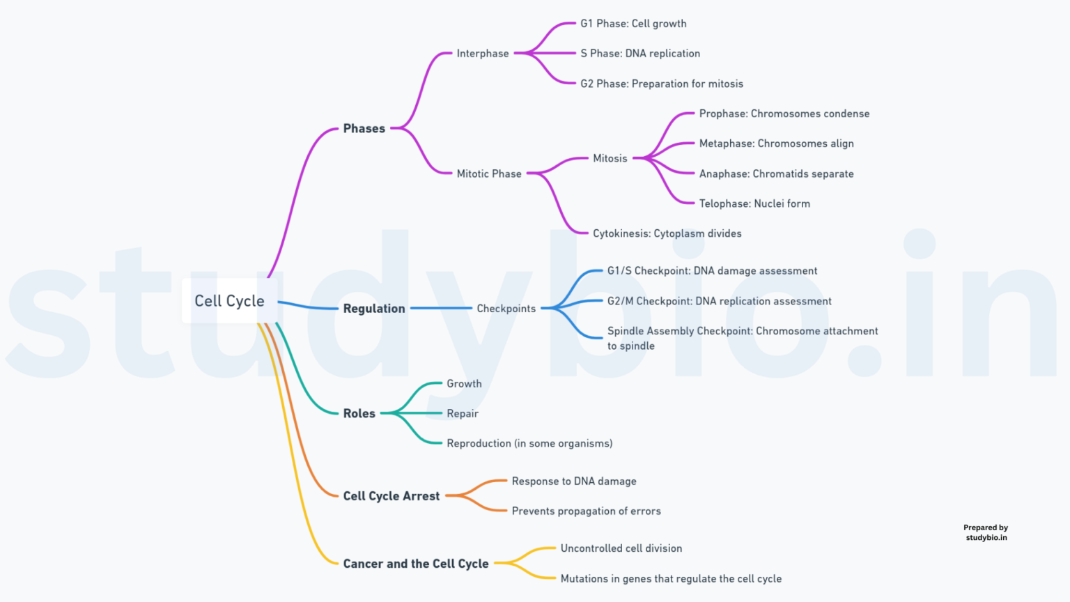 CELL CYCLE AND CELL DIVISION - StudyBio - Mastering Biology Made Easy
